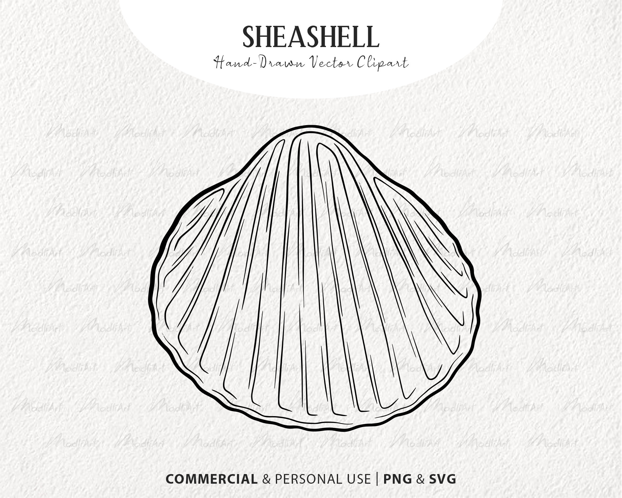 Seashell SVG Clipart. Ocean Themed Vector Line (Instant Download) - Etsy