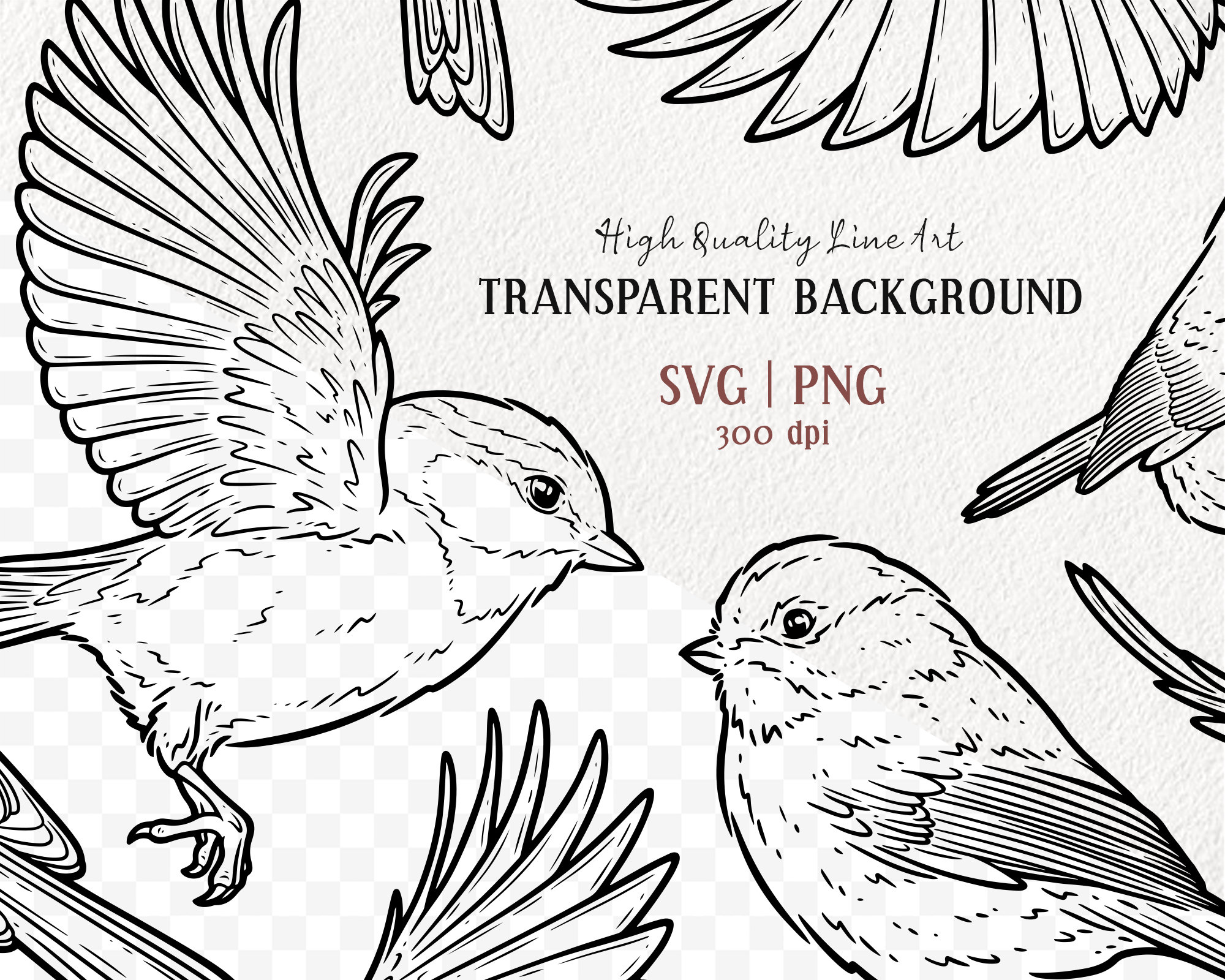 Chickadee SVG Clipart Bundle. Little Sparrow Vector Art. Winter Bird ...