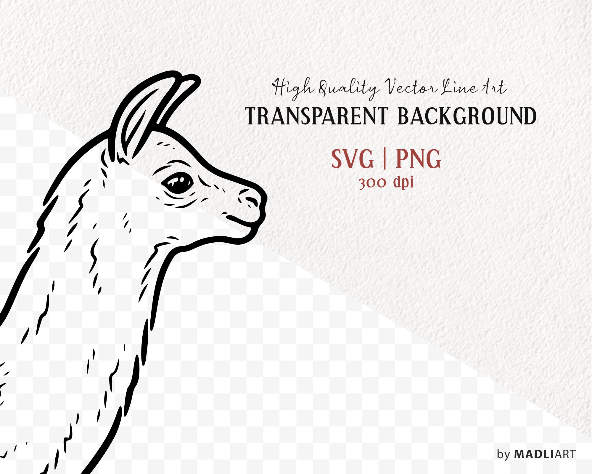 Baby Llama SVG Clipart. Alpaca SVG Line Drawing. Llama Vector Drawing ...