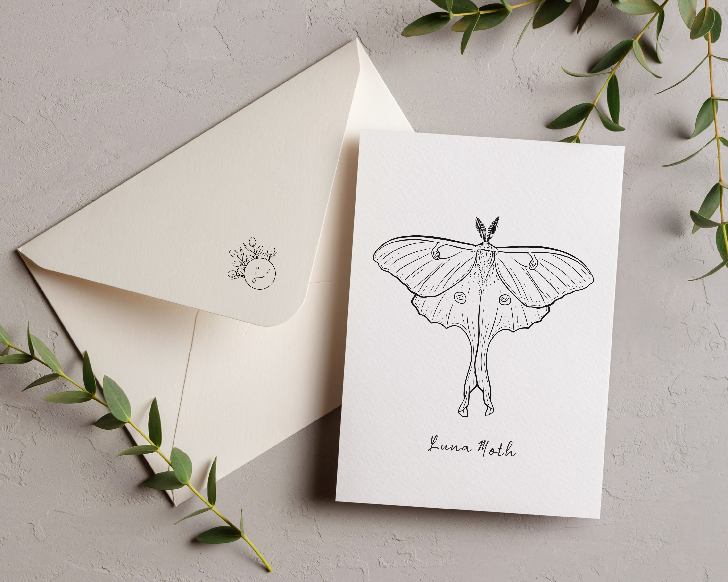 Luna Moth SVG Clip Art. Insect Vector Line Drawing. Night Butterfly ...