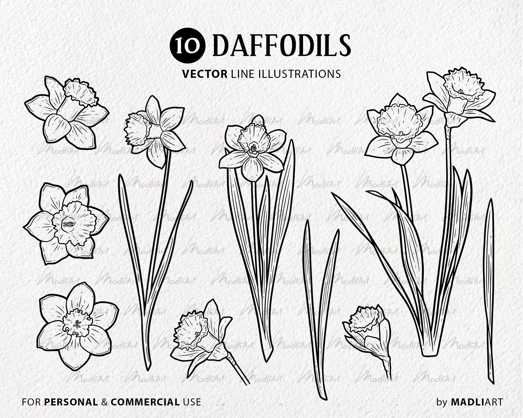 10 Daffodils SVG Clipart Bundle. Spring Daffodil Blossoms. - Etsy Ireland