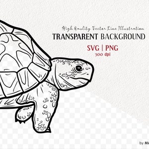 Indian Star Tortoise SVG Clipart. Land Turtle Vector Artwork. Cute ...
