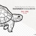 Indian Star Tortoise SVG Clipart. Land Turtle Vector Artwork. Cute ...