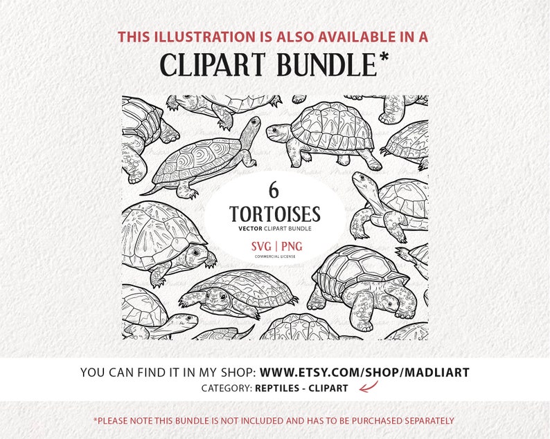 Pancake Tortoise SVG Clipart. Land Turtle Vector Artwork. Cute Turtle ...