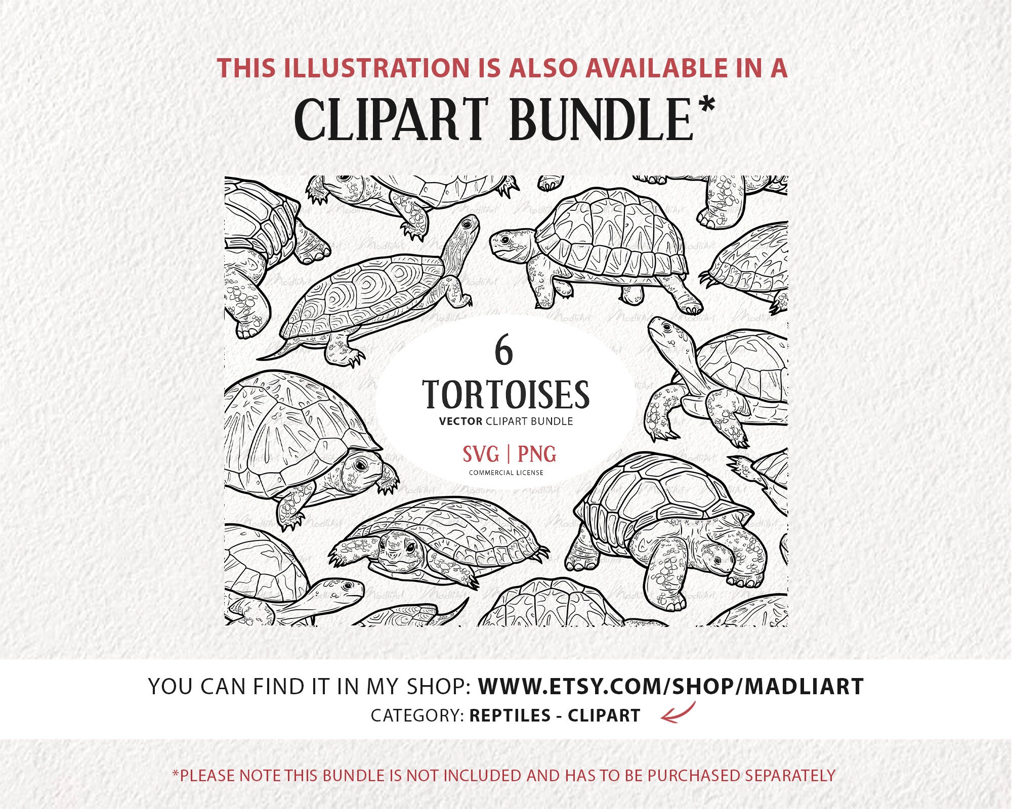 Florida Box Turtle SVG Clipart. Land Tortoise Vector Artwork. Cute ...