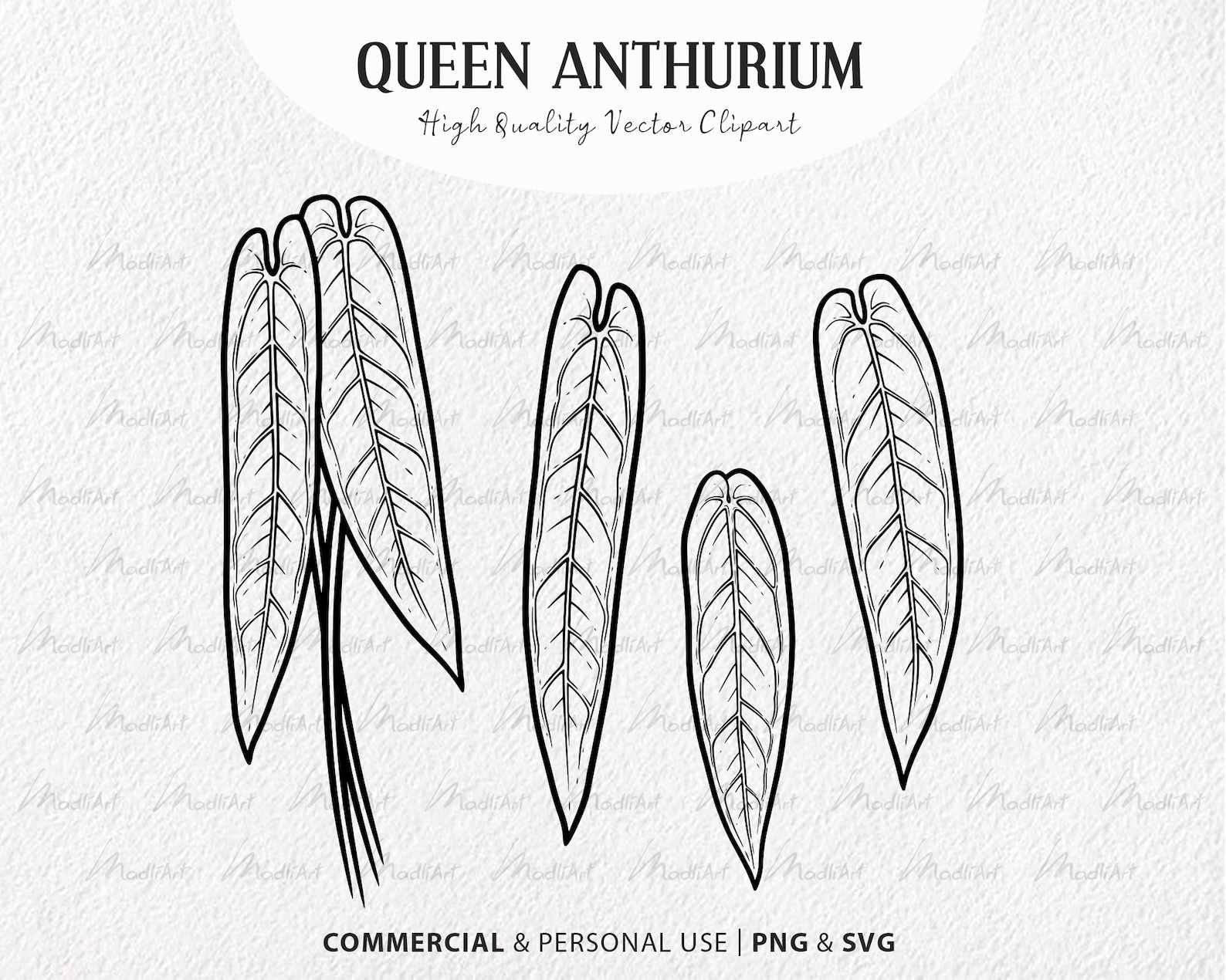 4 Queen Anthurium Leaves Clipart Set. Tropical Plant Vector Art. Exotic ...
