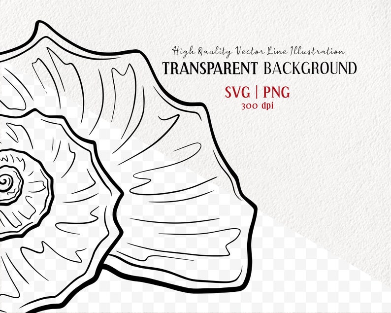 Seashell SVG Clipart. Ocean Themed Vector Line Drawing. Nautical Ocean ...