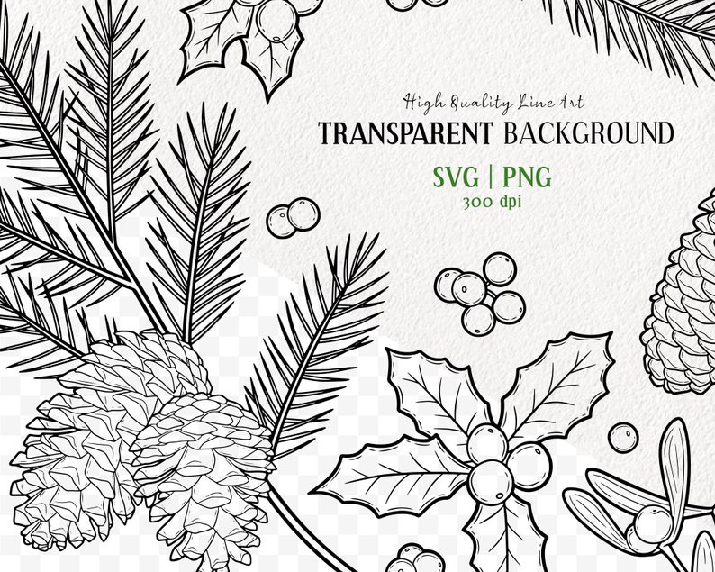 43 Winter Greenery Vector Clipart Bundle. Christmas Evergreen - Etsy