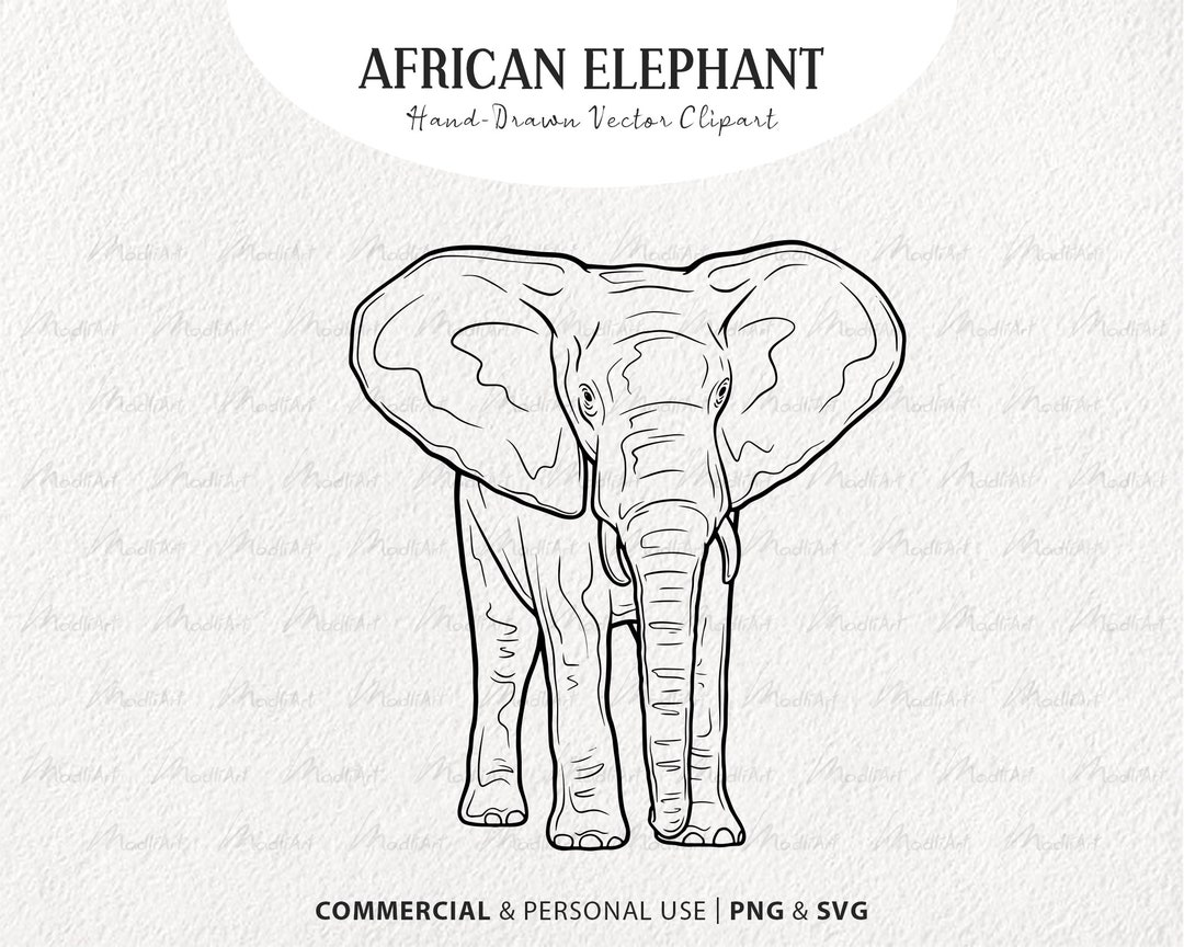 African Elephant Vector Clipart. Safari Animal SVG Outline. Elephant ...