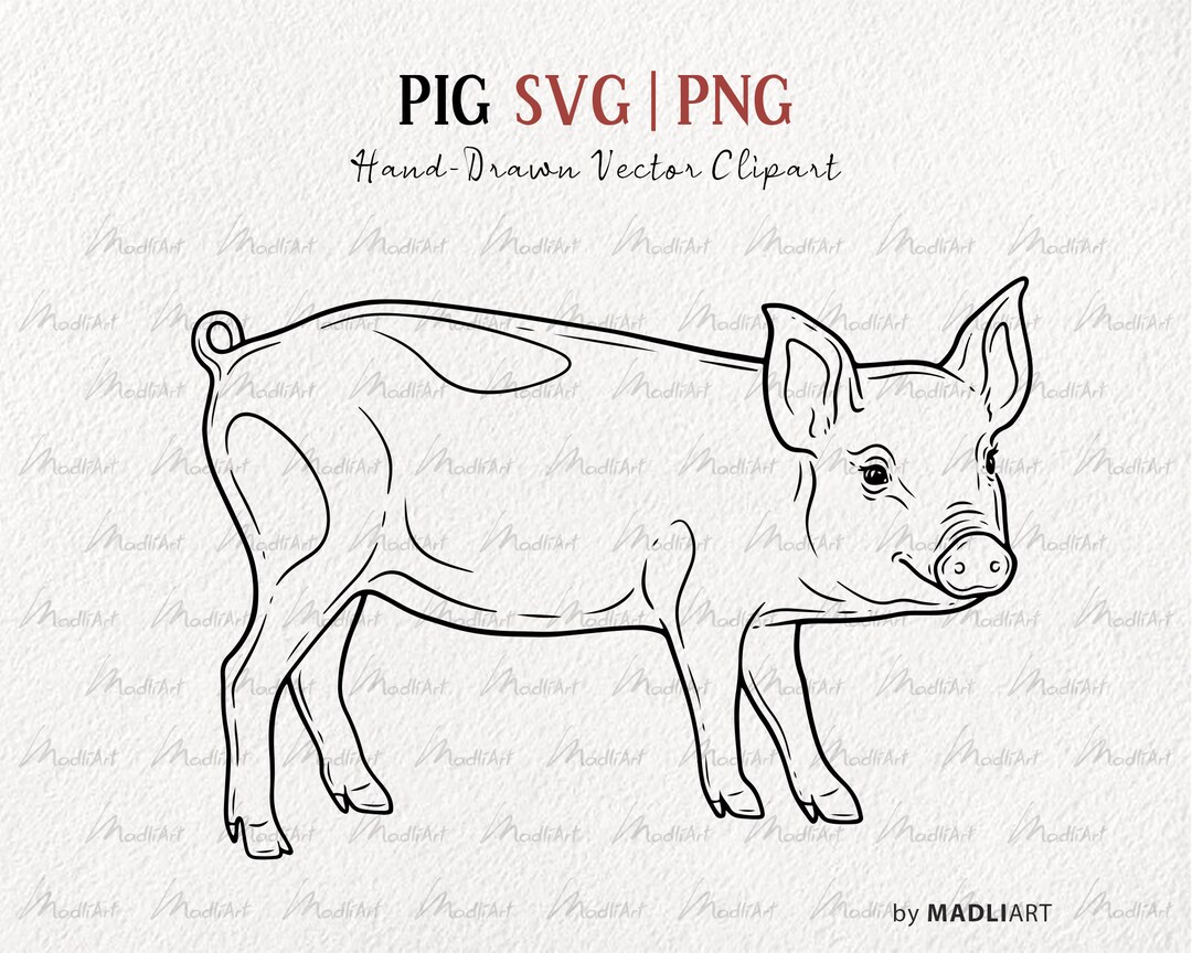 Pig SVG Clipart. Farm Animal Vector Line Art. Cute Piglet Drawing. Pig ...