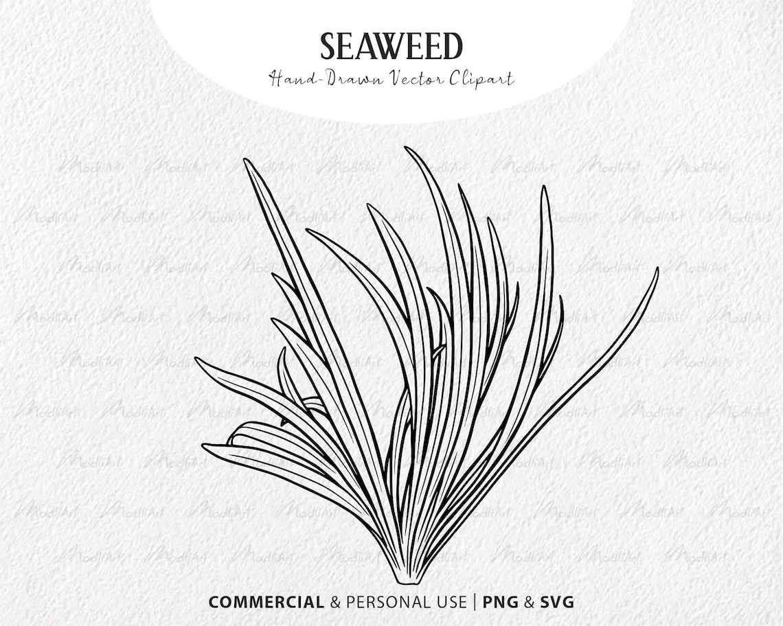 Seaweed Vector Clipart. Ocean Plant Line Art. Coral Reef - Etsy