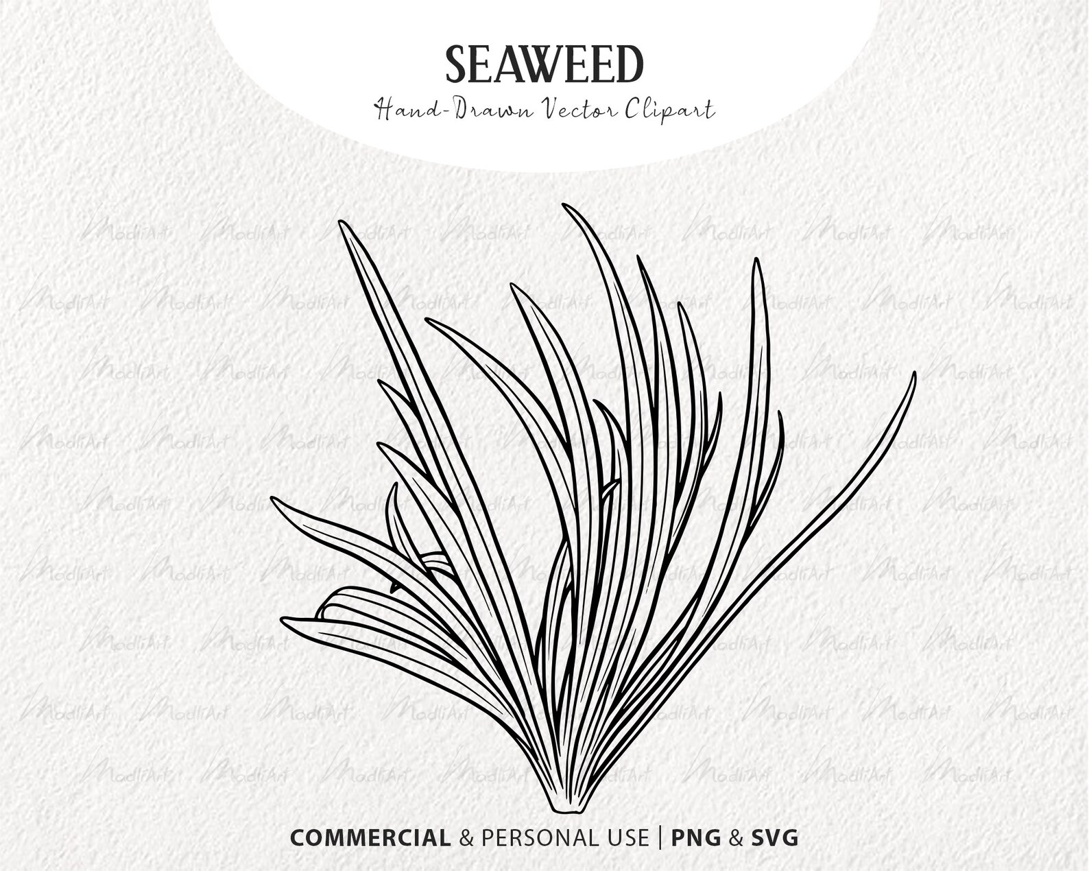 Seaweed Vector Clipart. Ocean Plant Line Art. Coral Reef - Etsy