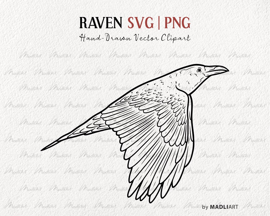 Flying Raven SVG Clipart. Crow Vector Line Drawing. Flying Crow Clipart ...
