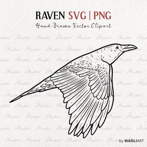 Flying Raven SVG Clipart. Crow Vector Line Drawing. Flying Crow Clipart ...