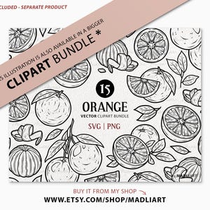 Orange SVG Clipart. Orange Vector Line Drawing. Grapefruit, Mandarin ...