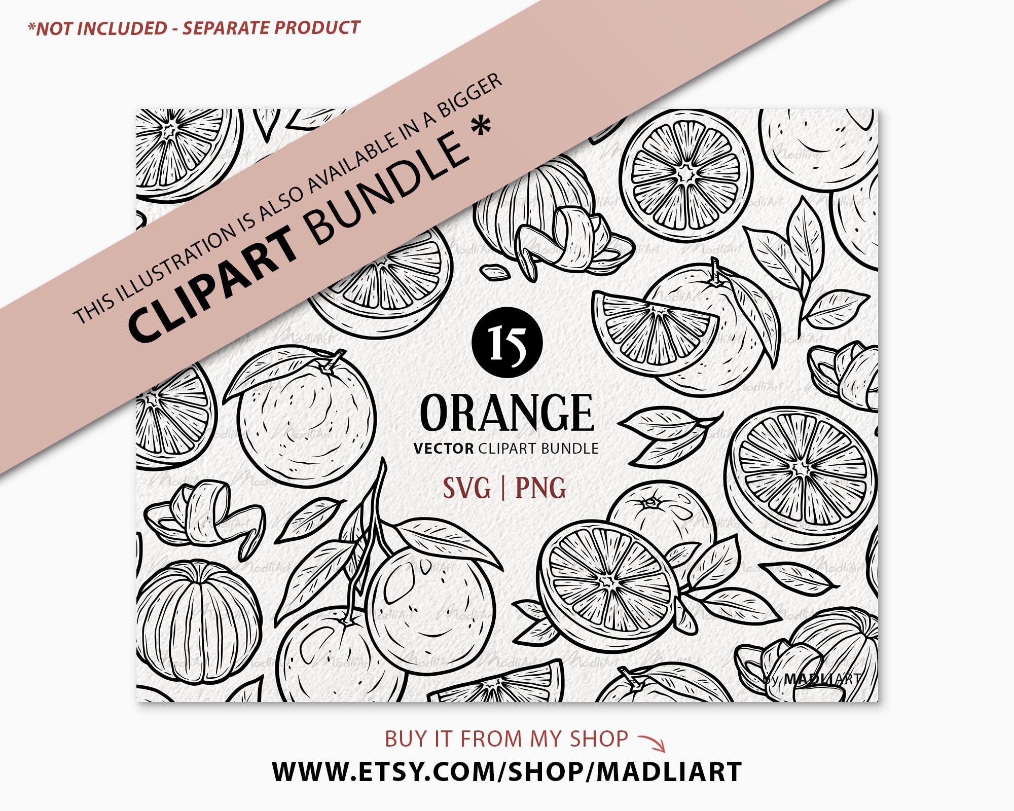 Orange SVG Clipart. Orange Vector Line Drawing. Grapefruit, Mandarin ...