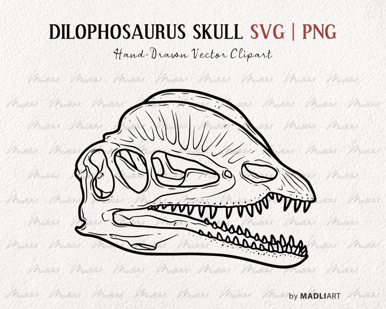 Dinosaur Skull SVG Clipart. Dilophosaurus Vector Skull Drawing ...