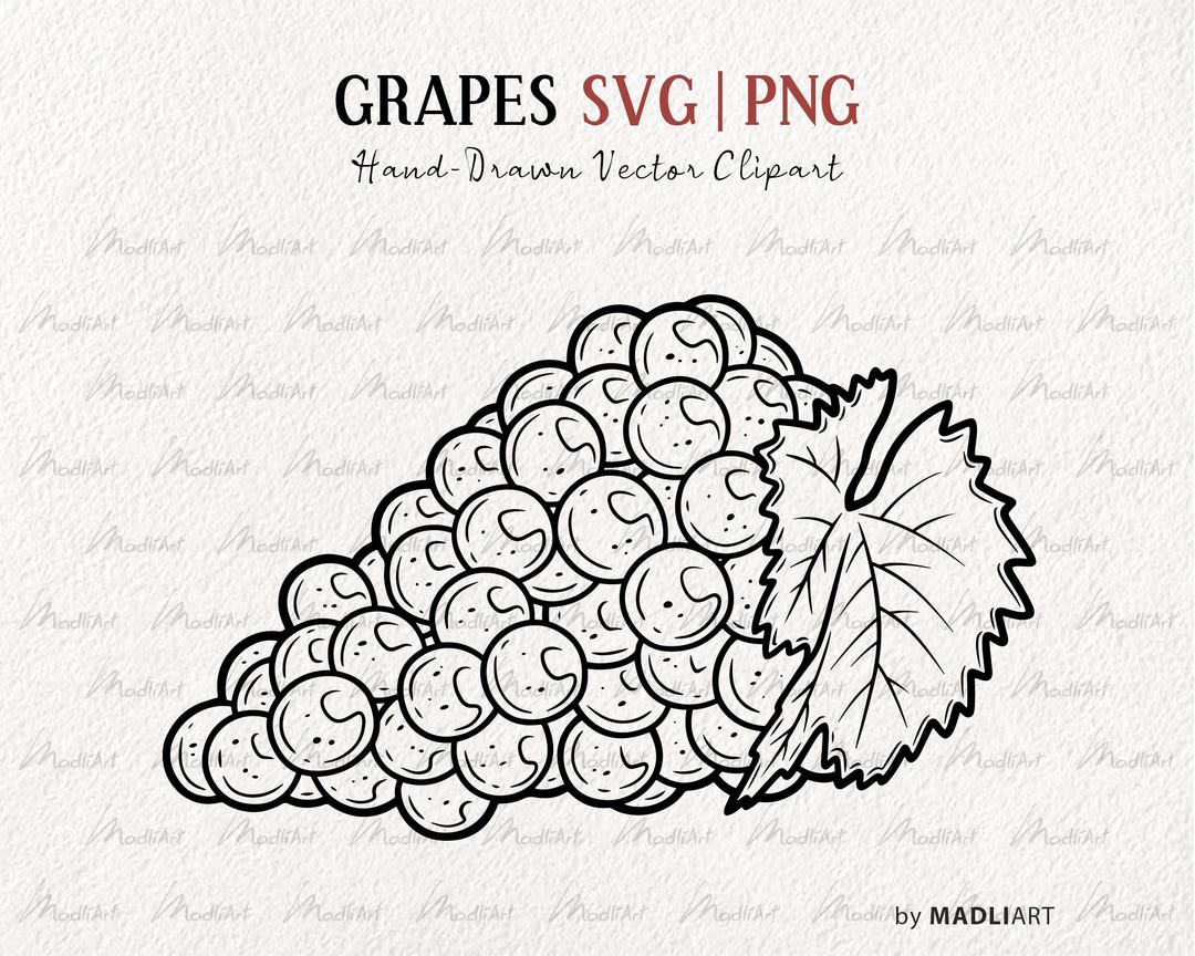 Grape SVG Clipart. Grape Vector Line Art. Grape Bundle Illustration. Grape Plant Leaves and ...