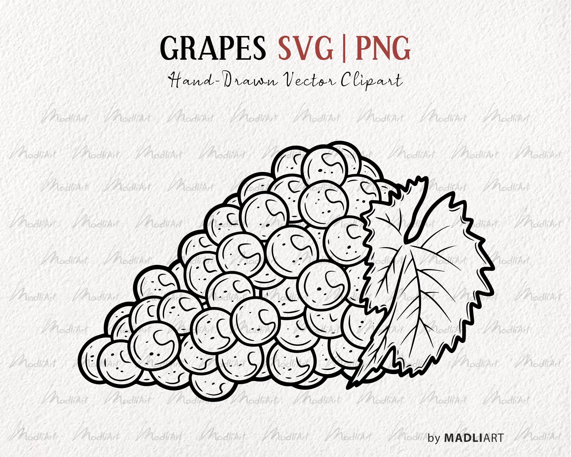 Grape SVG Clipart. Grape Vector Line Art. Grape Bundle Illustration ...
