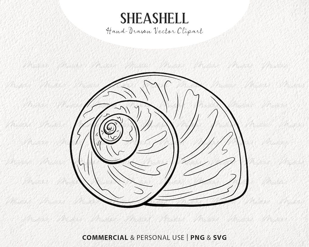Seashell SVG Clipart. Ocean Themed Vector Line Drawing. Nautical Ocean ...