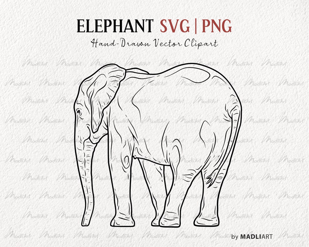 Elephant SVG Clipart. Elephant Vector Drawing. Safari Animal SVG Line ...