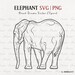 Elephant SVG Clipart. Elephant Vector Drawing. Safari Animal SVG Line ...
