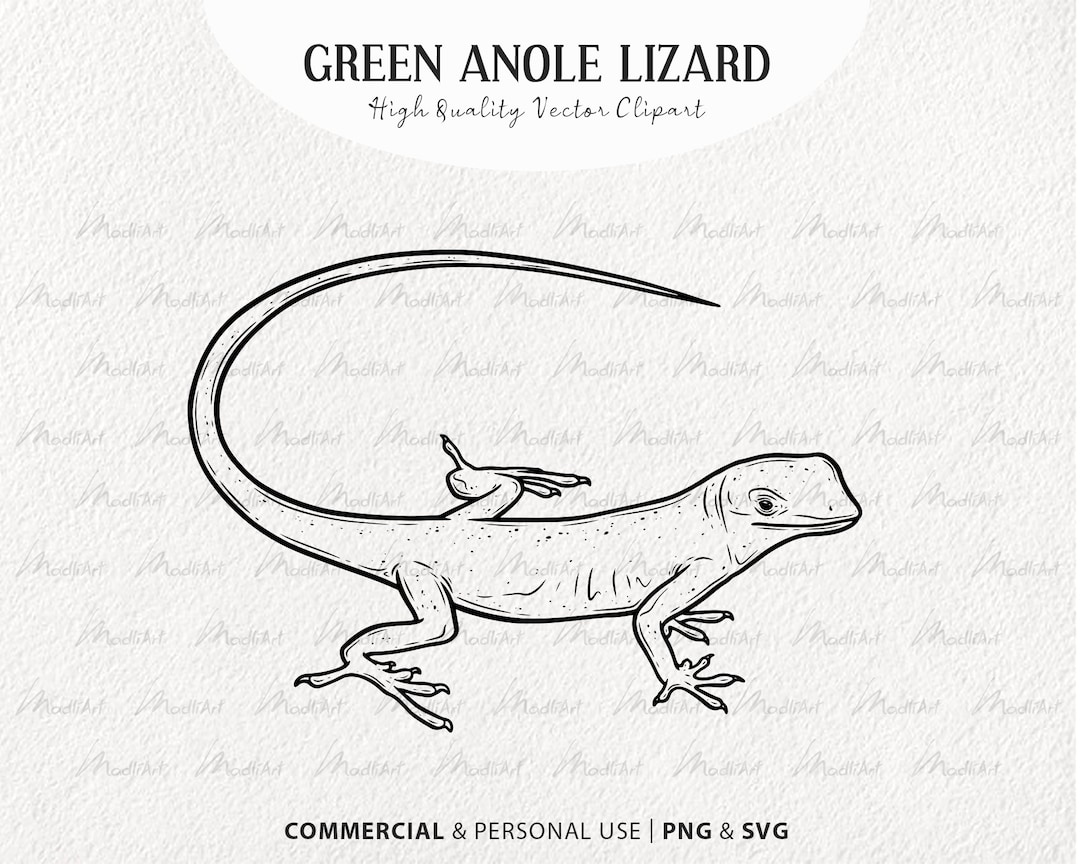 Green Anole Lizard SVG Clipart. Snake Like Lizard Vector Drawing. Blue ...