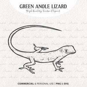 Green Anole Lizard SVG Clipart. Snake Like Lizard Vector Drawing. Blue ...