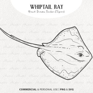 Whiptail Stingray SVG Clipart. Ray Fish Svg Illustration. Stingray ...
