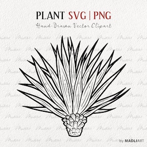 Leafy Plant SVG Clipart. Vector House Plant Line Drawing. Potted Plant ...