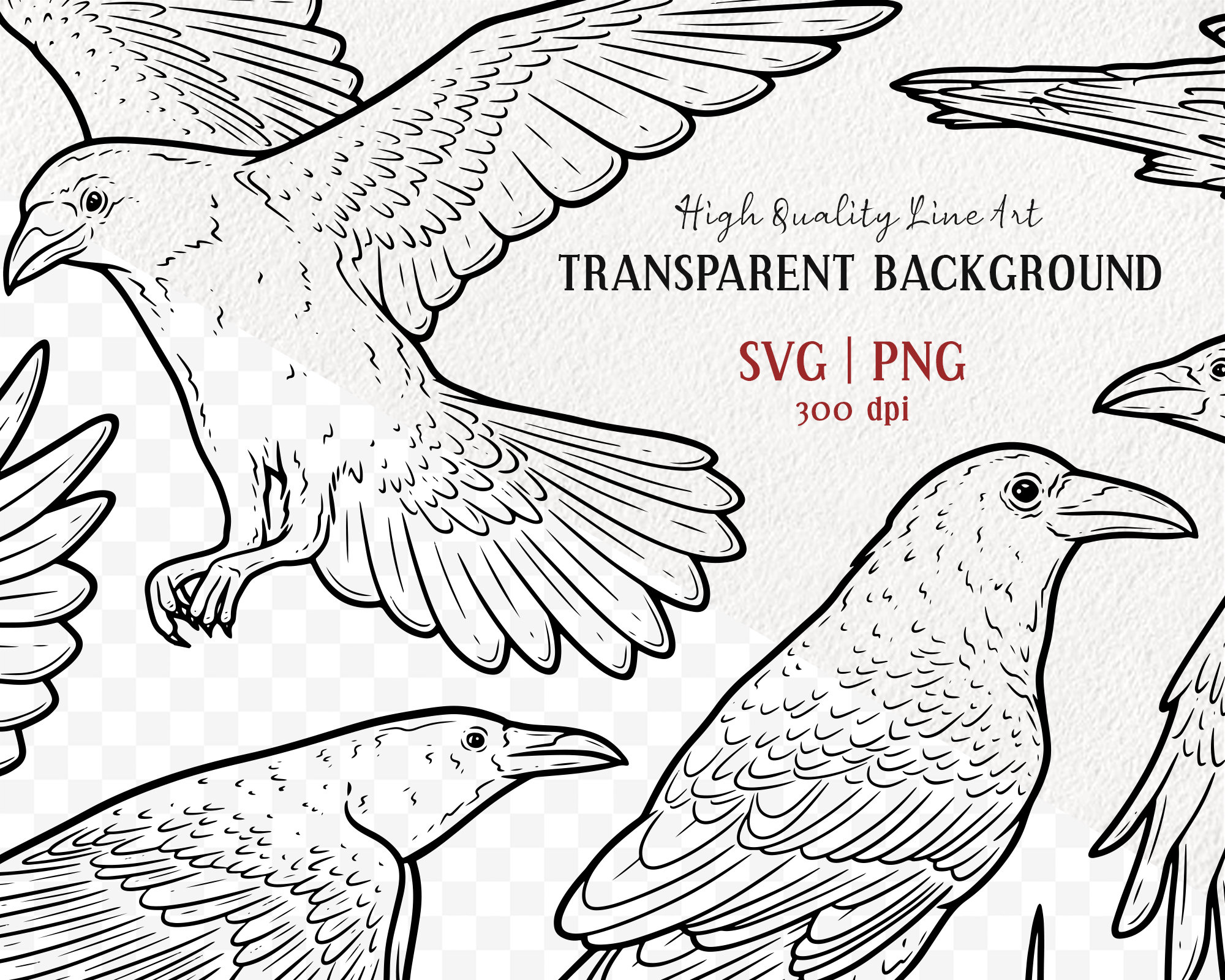 7 Raven SVG Clipart Bundle. Crow Vector Line Drawings. Halloween Crow ...
