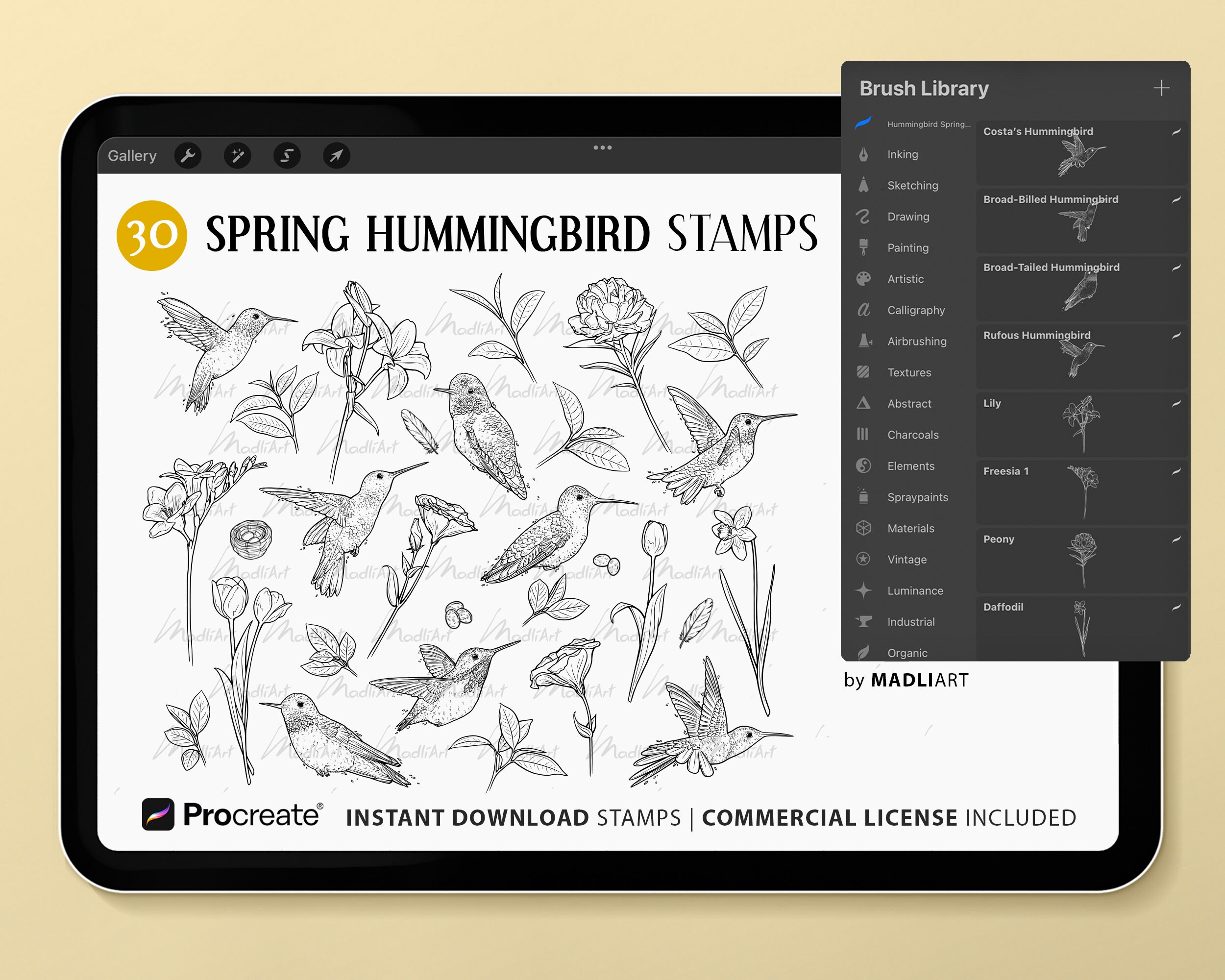 30 Procreate Spring Hummingbird Stamps. Spring Floral Tattoo Design ...