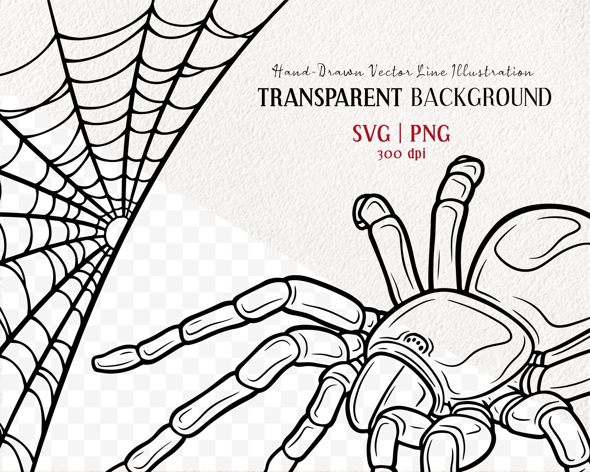 Spider SVG Clipart. Tarantula and Black Widow Vector Artwork. - Etsy
