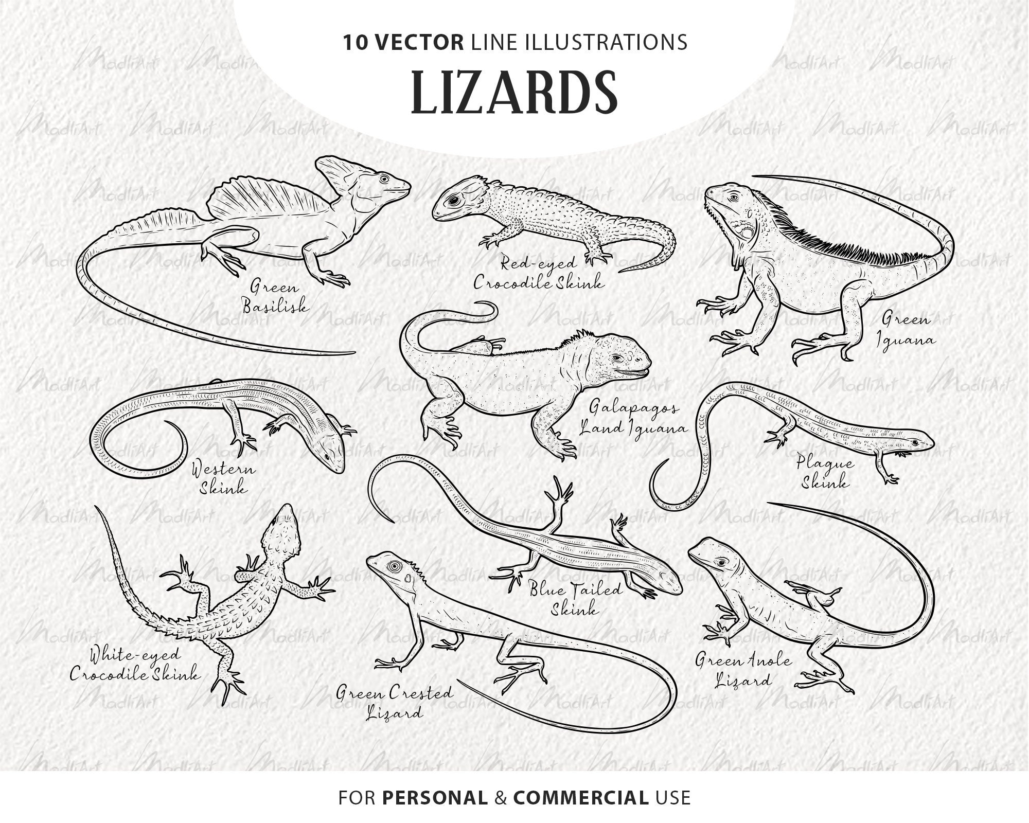 10 Lizard SVG Clipart Bundle. Reptile Vector Drawings. - Etsy