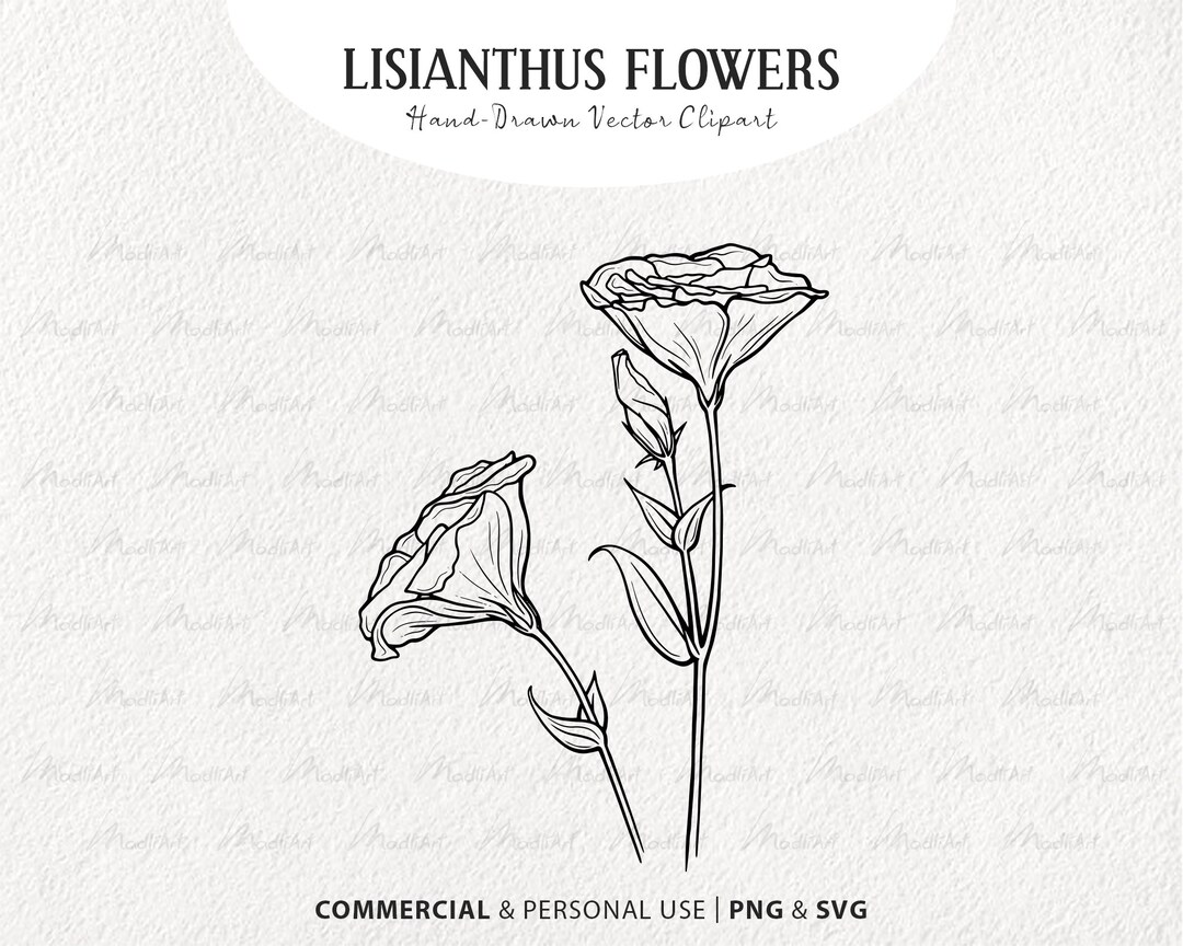 Lisianthus Flower SVG Clipart Set. 2 Rose Svg Outlines. Spring ...