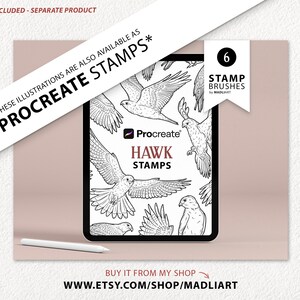 6 Hawks SVG Clipart Bundle. Eagle Vector Line Drawings. Bird of Prey ...