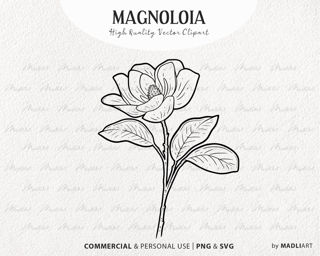 Magnolia SVG Clipart. Magnolia Blossom Vector Illustration. Magnolia ...