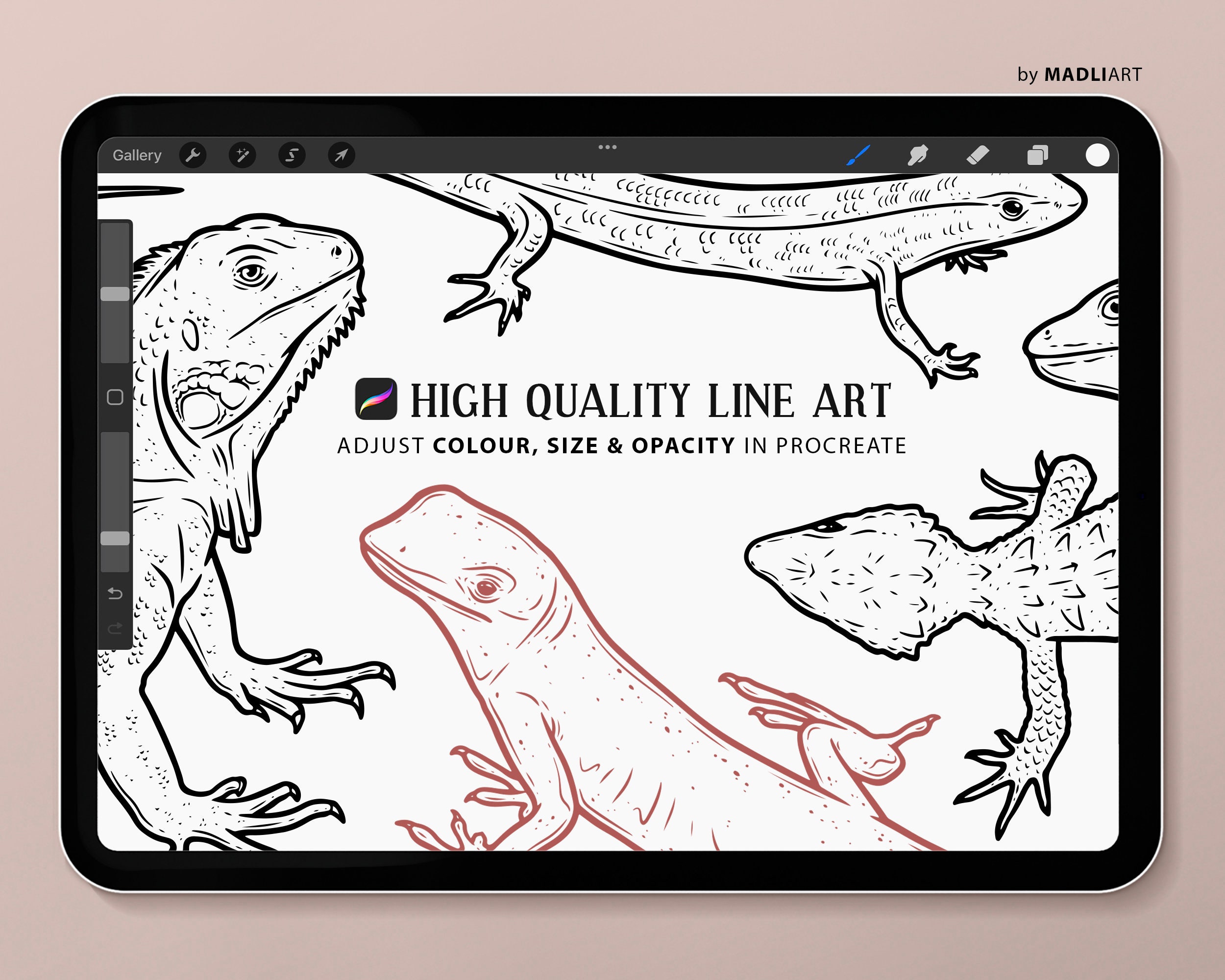 10 Procreate Lizard Stamps. Reptile Tattoo Designs. Basilisk, Skink ...