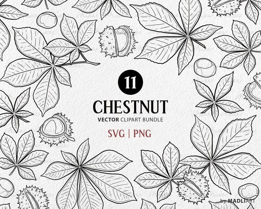 Chestnut Clipart Bundle. 11 Vector Autumn Elements. Fall Leaves Line ...