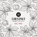 Chestnut Clipart Bundle. 11 Vector Autumn Elements. Fall Leaves Line ...
