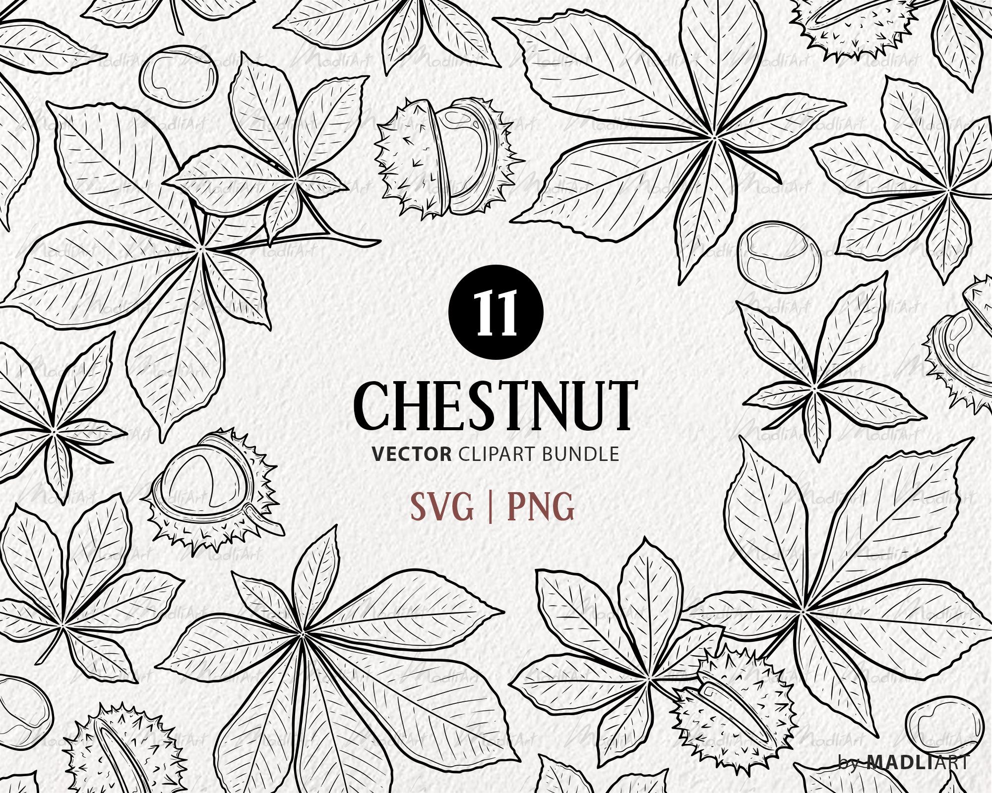 Chestnut Clipart Bundle. 11 Vector Autumn Elements. Fall - Etsy