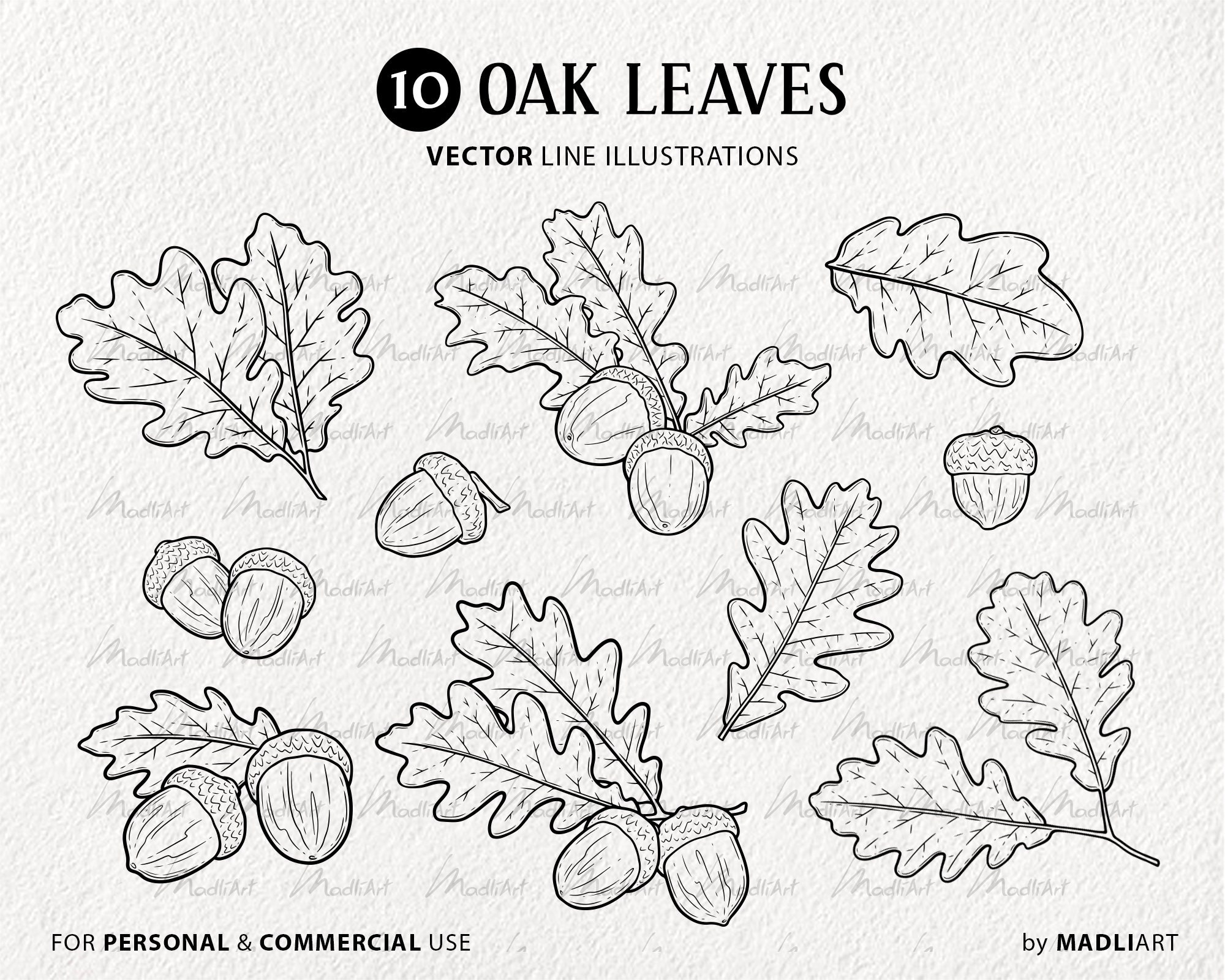Oak Leaf Vector
