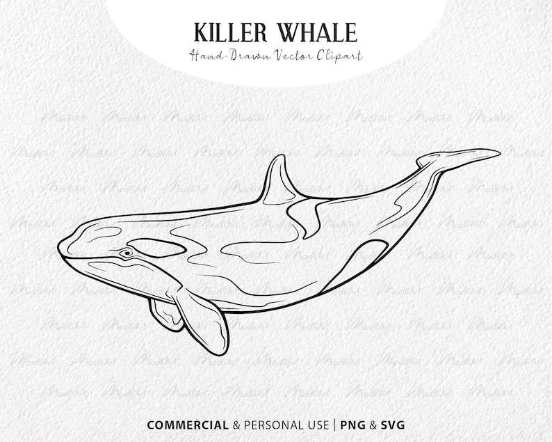 Orca Killer Whale SVG Clipart. Orca Whale Vector Drawing. Sea Animal ...