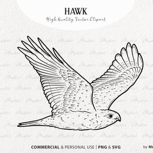 Coopers Hawk SVG Clipart Bundle. Eagle Vector Line Drawings. - Etsy