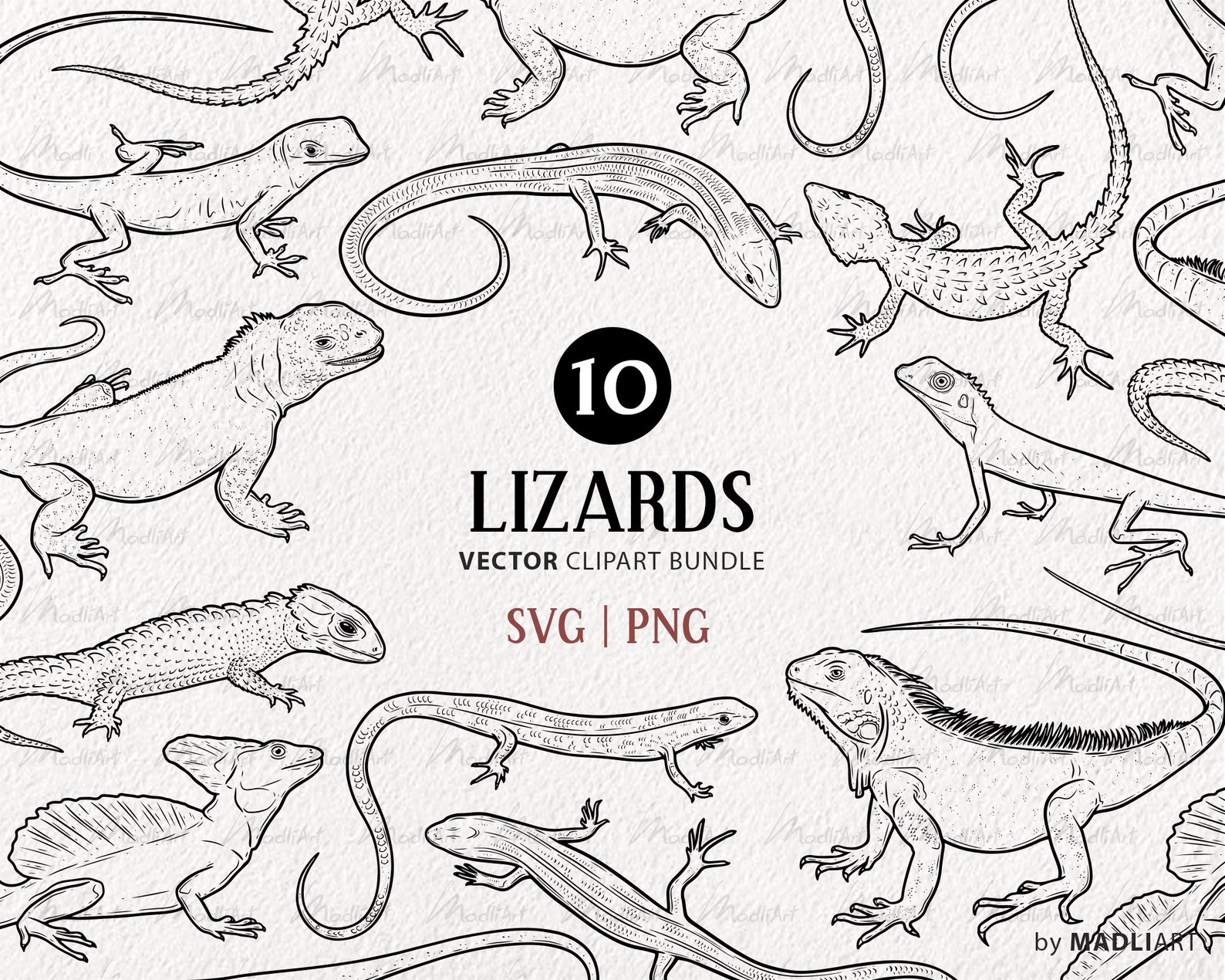 10 Lizard SVG Clipart Bundle. Reptile Vector Drawings. Basilisk, Skink ...