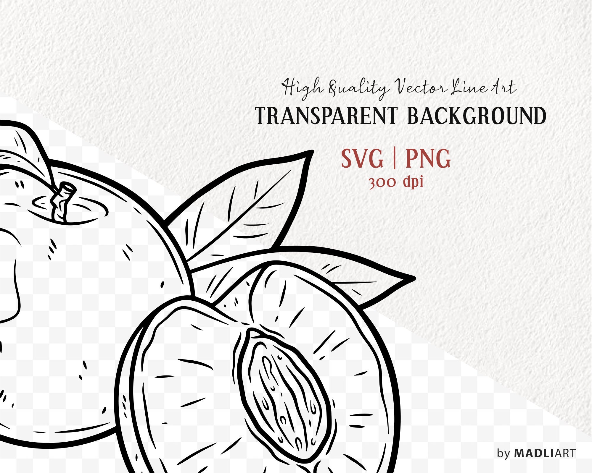 Peach SVG Clipart. Vector Peach Drawing. Peach Fruit, Leaves Line ...