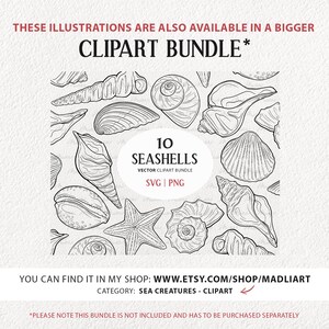 Starfish SVG Clipart. Ocean Seashell Vector Line Drawing. Nautical ...