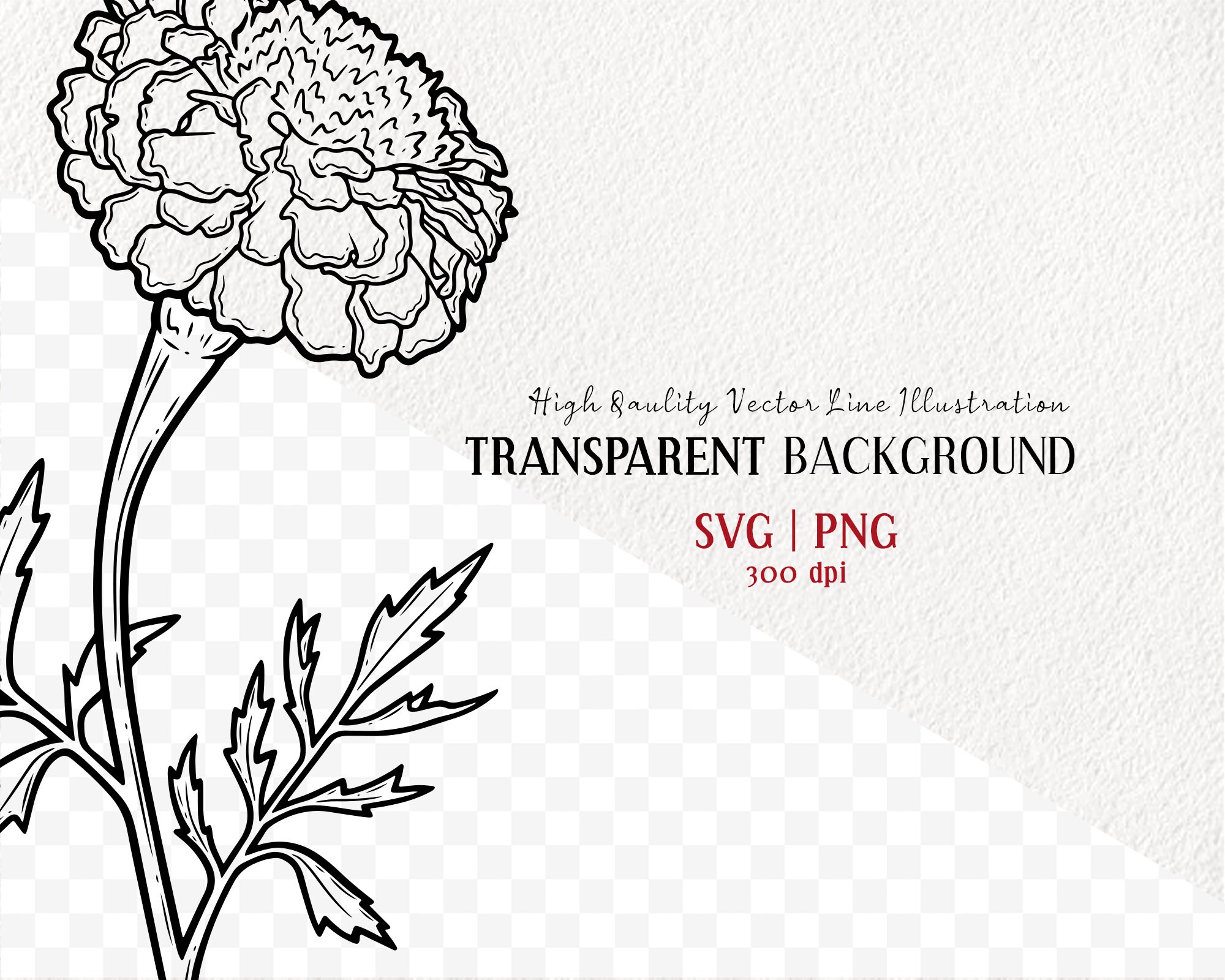 Marigold SVG Clipart. Spring Marigold Vector Blossom. Flower Stalk Line ...