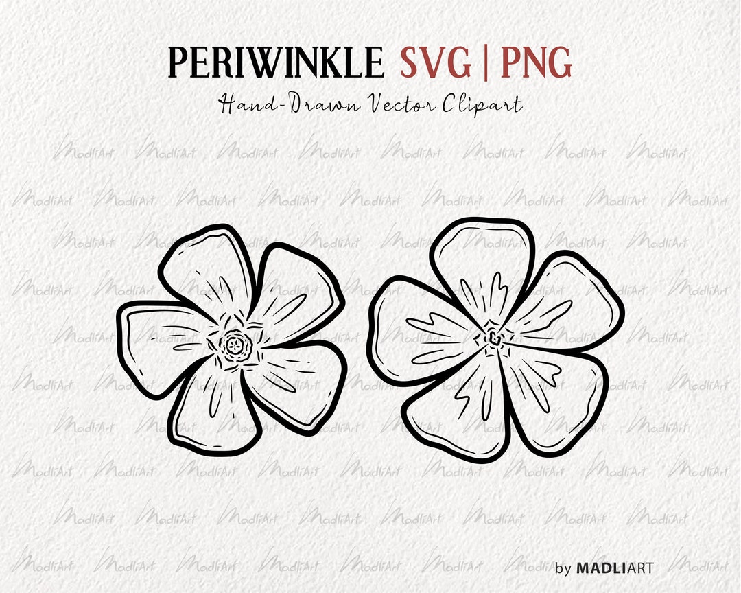 2 Periwinkle SVG Clipart Set. Spring Flower Blossoms. Periwinkle Vector ...