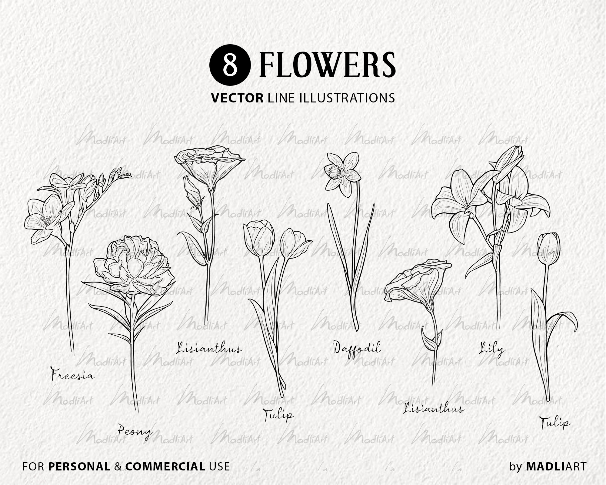 Spring Flower SVG Clipart Bundle. 8 Vector Botanical Line - Etsy UK